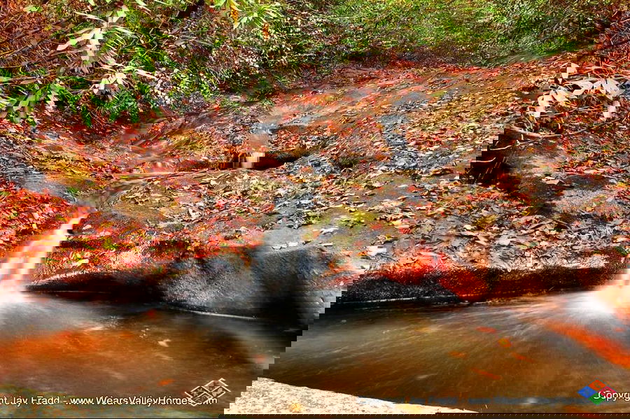 Cedar Hawk Springs Cabin