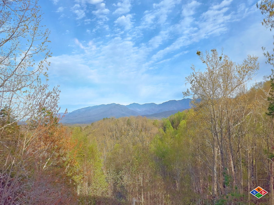 The Skybox Lodge Large Group Cabin