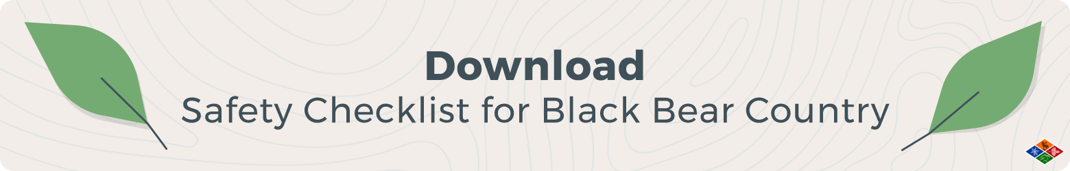 Black Bear Facts and Safety Information