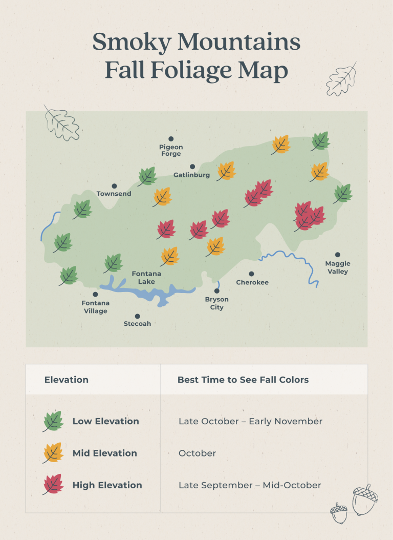 Smoky Mountains in the Fall: The Complete Travel Guide