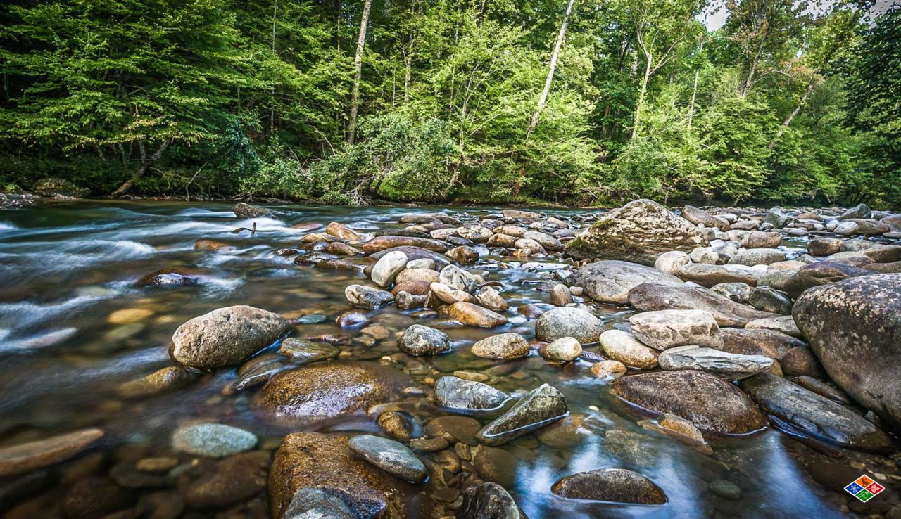 7 Easy Hikes in the Smoky Mountains for Anyone to Enjoy